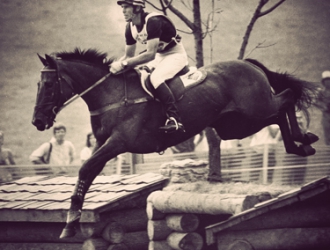 The Chronicle of the Horse