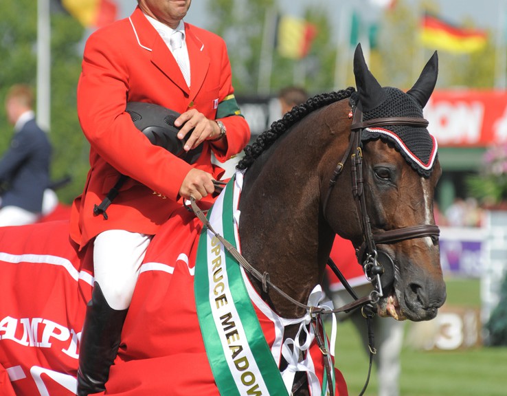 The Chronicle of the Horse