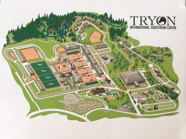 The Chronicle of the Horse